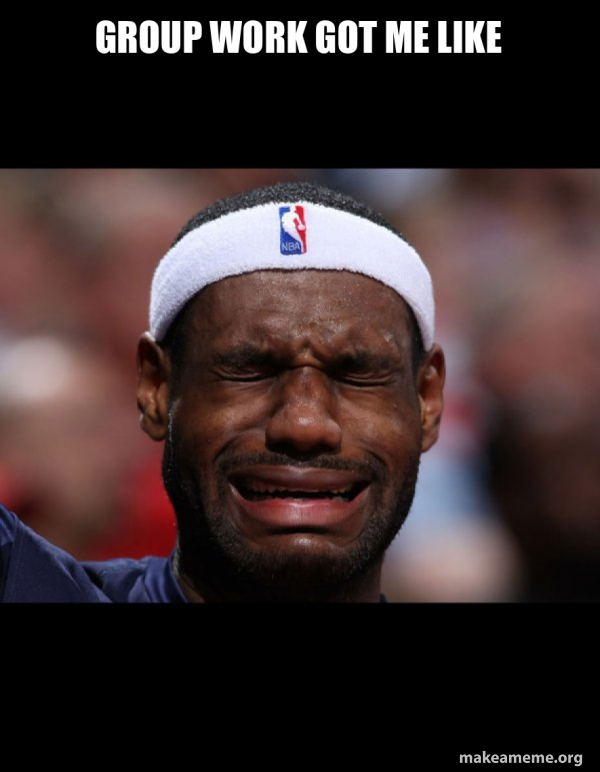 Group work got me like - Lebron Crying Meme Generator
