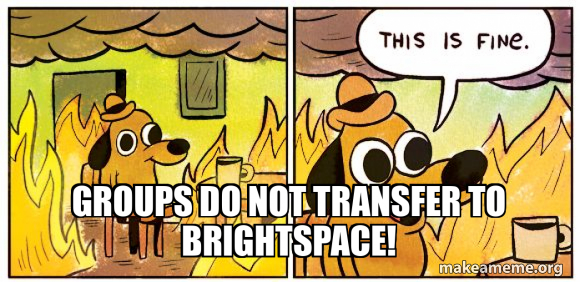 Groups Do not transfer to Brightspace! Meme Generator