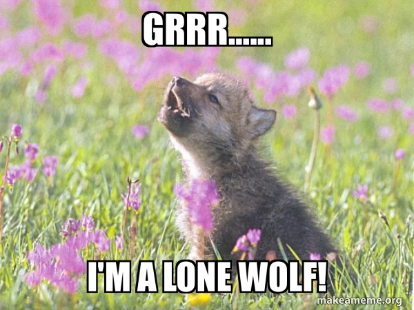 Grrr...... I'm a lone wolf! - Baby Insanity Wolf Meme Generator