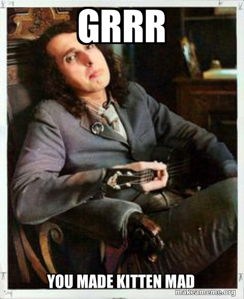 Grrr You made kitten mad Meme Generator