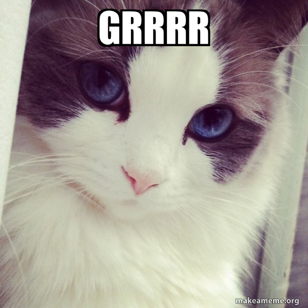 Grrrr - Ridiculously Photogenic Cat Meme Generator