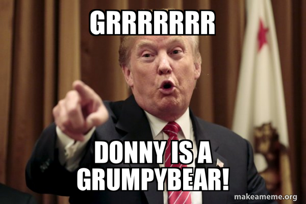 grrrrrrr Donny is a grumpybear! - Donald Trump Says Meme Generator
