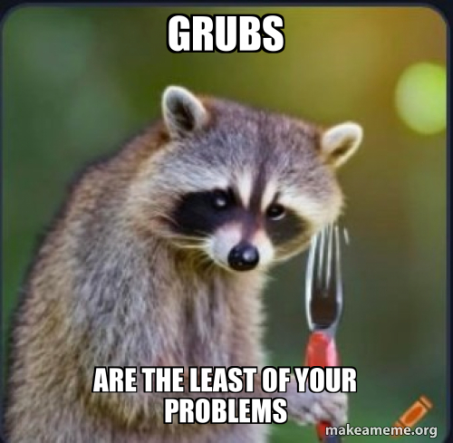 Grubs are the least of your problems Meme Generator