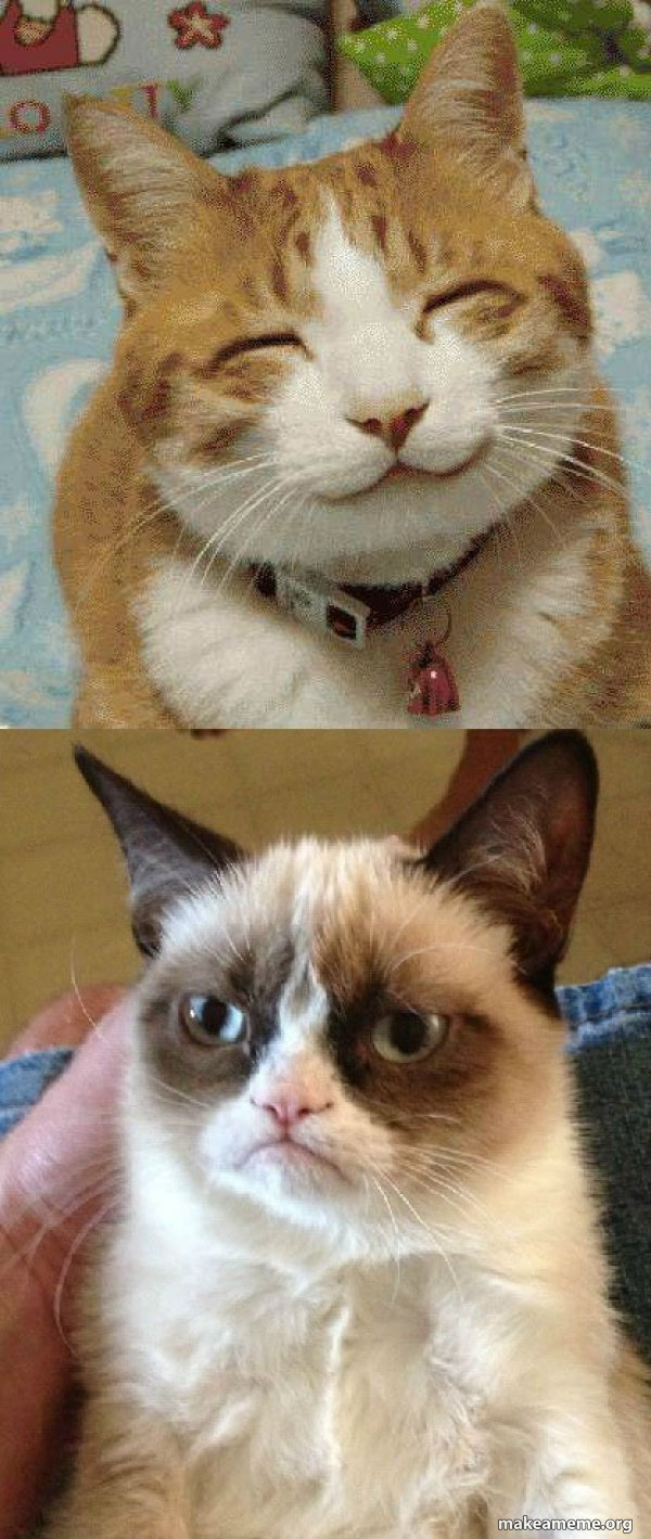 - Grumpy Cat vs Happy Cat Meme Generator
