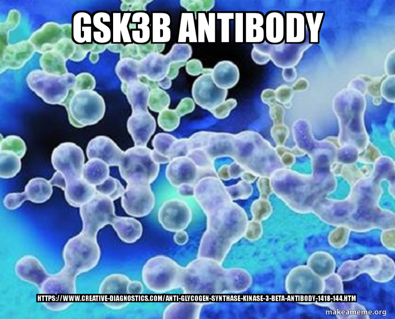 GSK3B Antibody https://www.creative-diagnostics.com/Anti-Glycogen ...