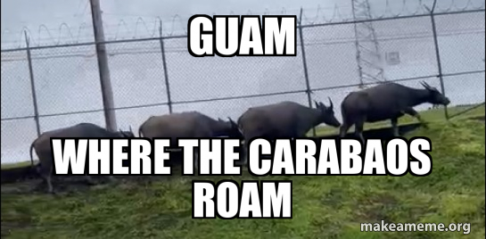 GUAM WHERE THE carabaoS ROAM Meme Generator