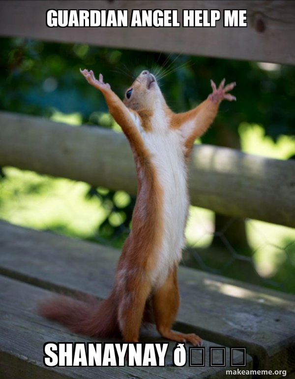 Guardian Angel Help me Shanaynay ðŸ˜‚ - Happy Squirrel Meme Generator