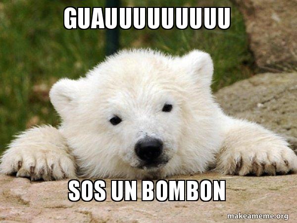 Memes De Bombon