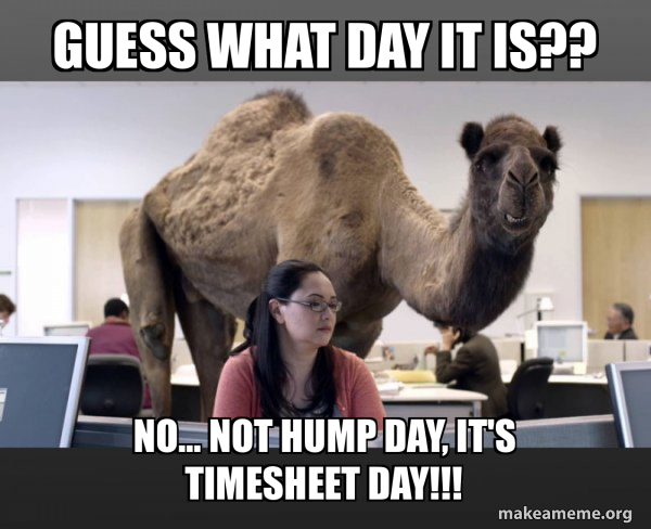 Guess what day it is?? No... not hump day, it's Timesheet DAy!!! - Hump ...