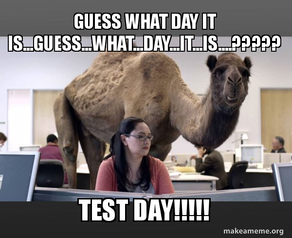 Test Day Memes Bruh Its Test Day You Got This Testing Day Funny Tie