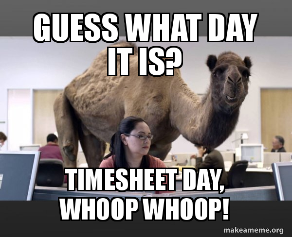 Timesheet Meme 13+ Hilarious Timesheet Memes For 2025