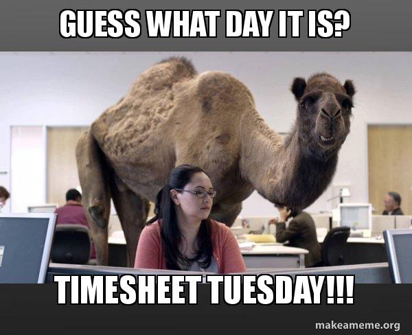 GUESS WHAT DAY IT IS? TIMESHEET TUESDAY!!! - Hump Day Camel Meme Generator