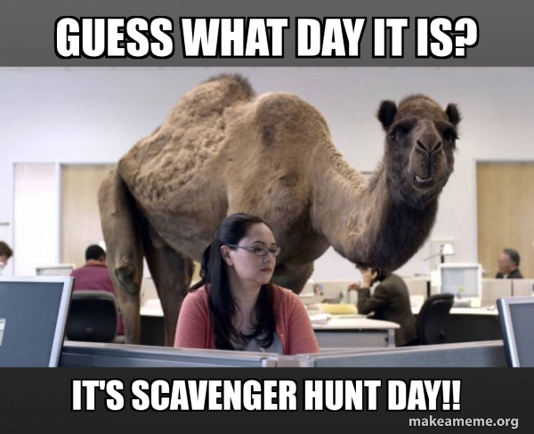 guess what day it is? it's scavenger hunt day!! - Hump Day Camel Meme ...