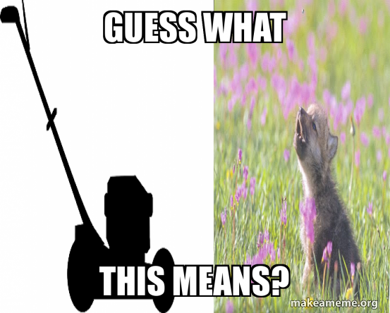GUESS what this means? - mosl Meme Generator