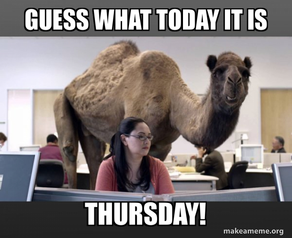 Guess what today it is Thursday! - Hump Day Camel Meme Generator