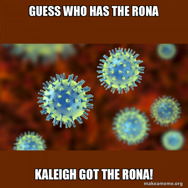 Guess who has the Rona Kaleigh got the Rona! - Coronavirus ( COVID-19 ...
