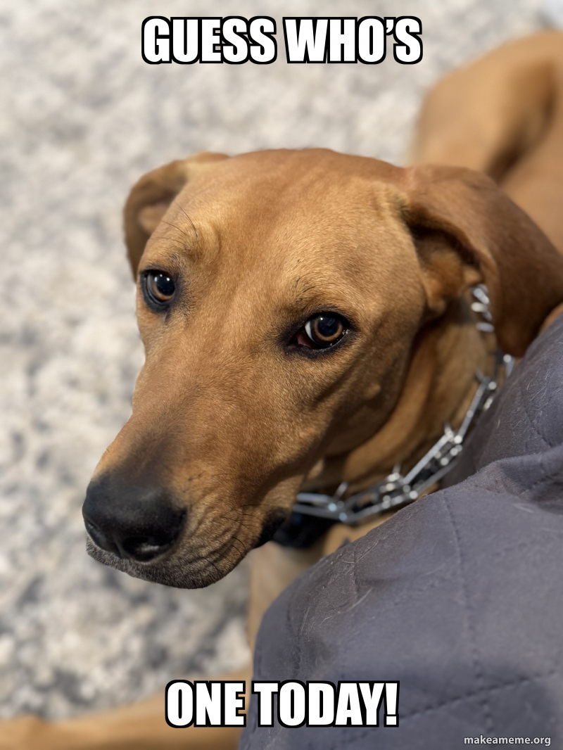 Guess who’s One today! Meme Generator