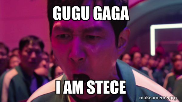Gugu gaga I am stece - I've Played These Games Before Meme Generator