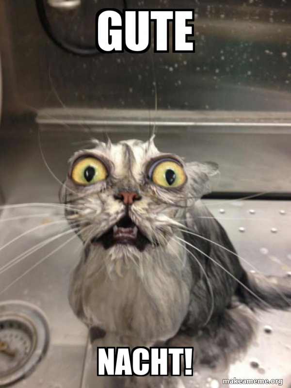Gute Nacht! - Cat bath Meme Generator