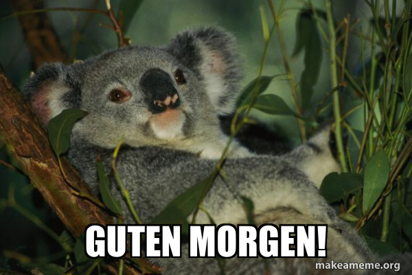 Guten Morgeb Memes Witziges Bild 'Guten Morgen' Tausende Bilder Auf