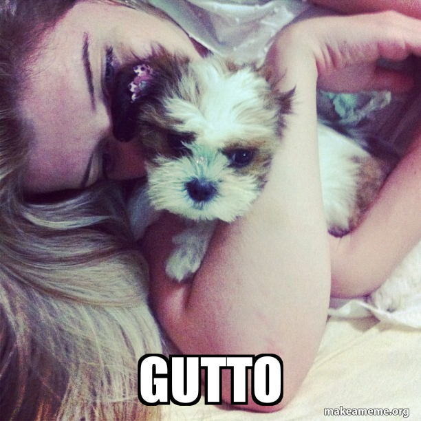 Gutto Meme Generator