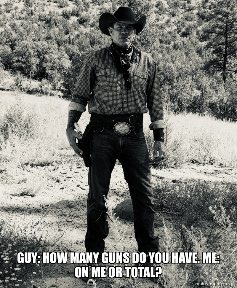 Guy: How many guns do you have. Me: On me or total? Meme Generator