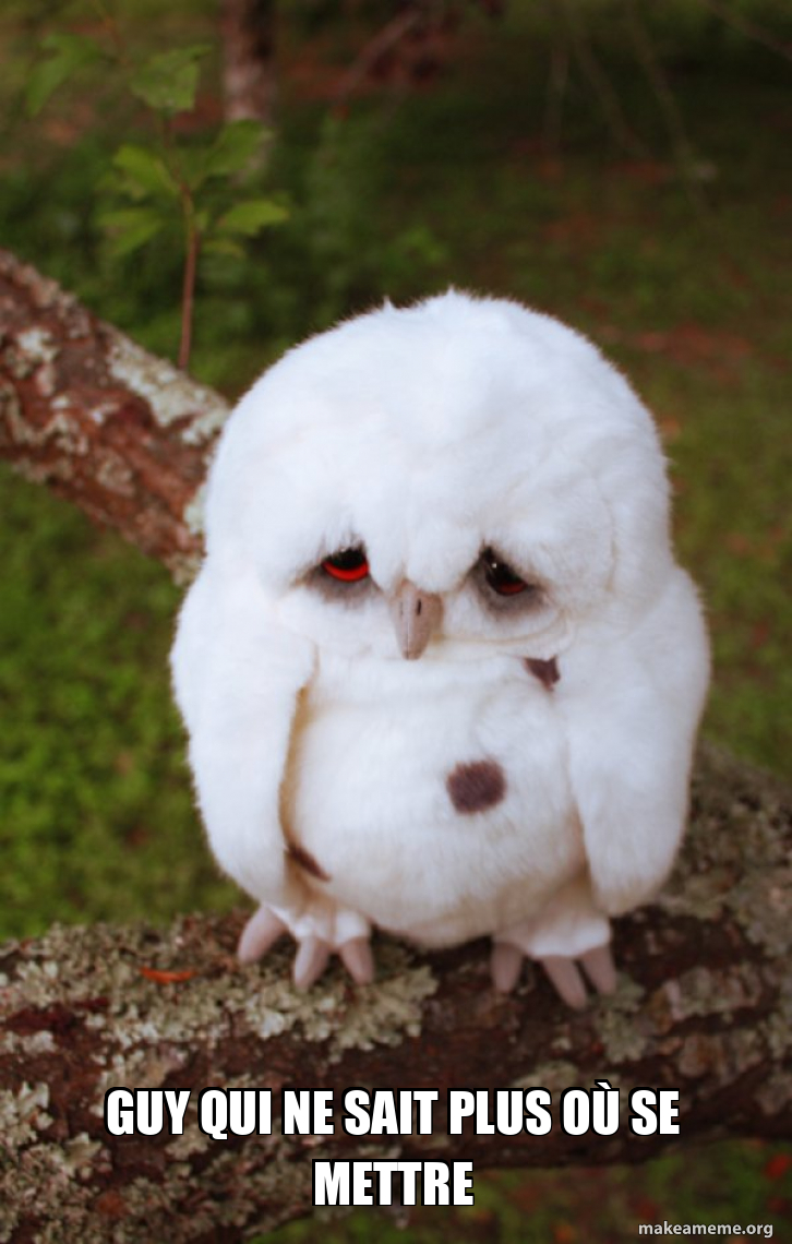 Guy qui ne sait plus où se mettre - Sad Owl Meme Generator
