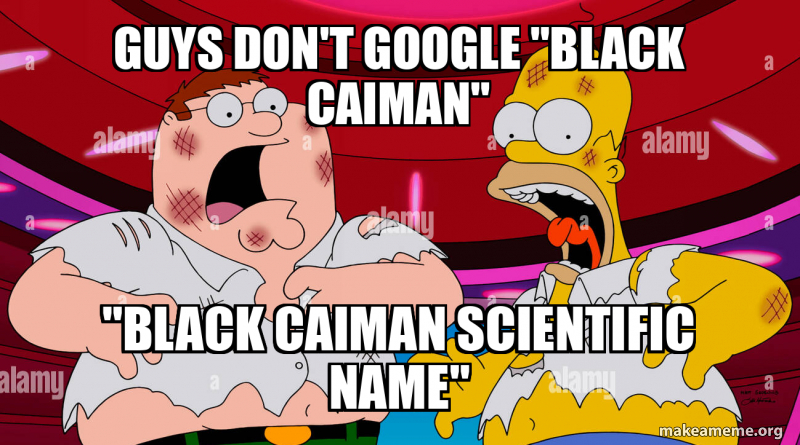 GUYS DON'T GOOGLE "BLACK CAIMAN" "BLACK CAIMAN SCIENTIFIC NAME" Meme ...