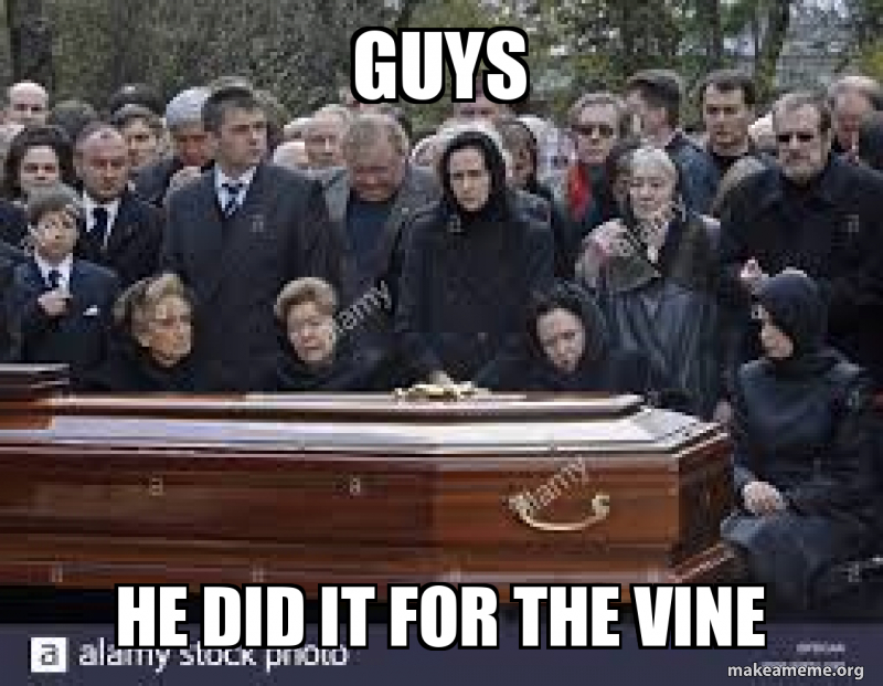 guys he did it for the vine Meme Generator