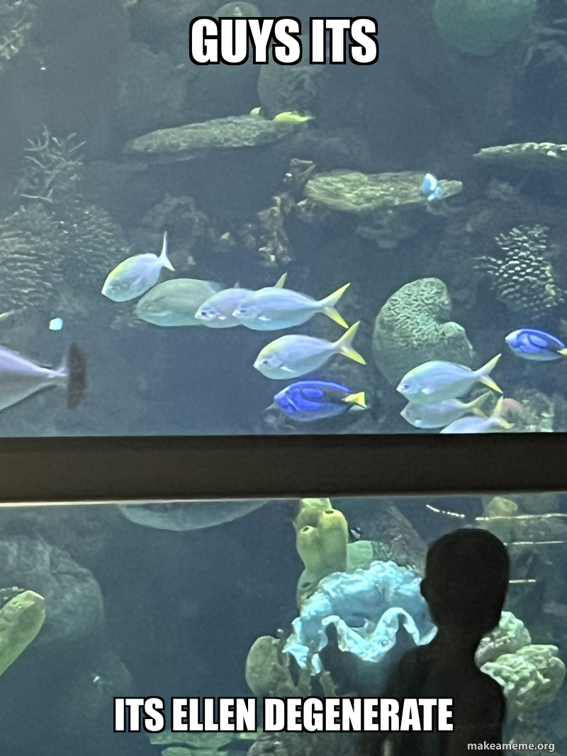 GUYS ITS Its ELLEN DEGENERATE Meme Generator