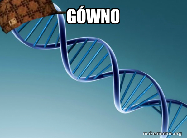 gówno - Scumbag Genetics Meme Generator