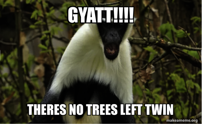 Gyatt!!!! Theres no trees left twin Meme Generator