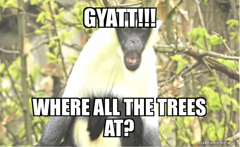 Gyatt!!! Where all the trees at? Meme Generator