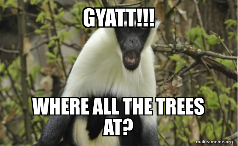 gyatt!!! Where all the trees at? Meme Generator