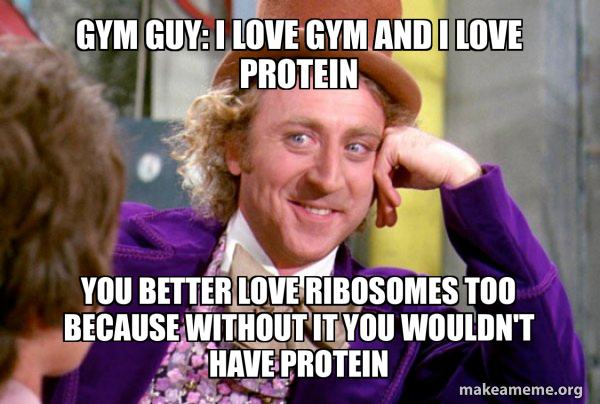gym guy: i love gym and i love protein you better love ribosomes too ...