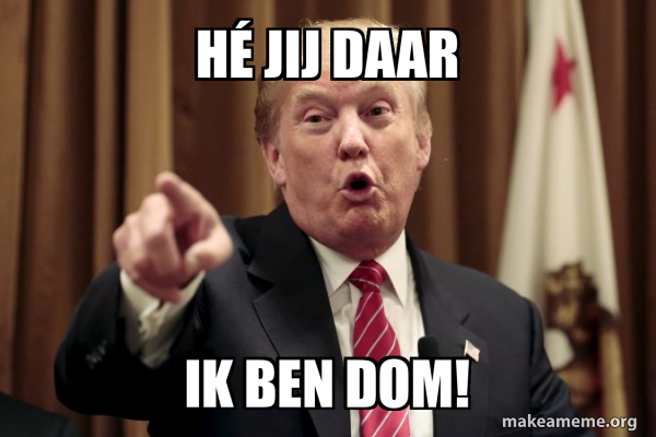 hé jij daar ik ben dom! - Donald Trump Says Meme Generator