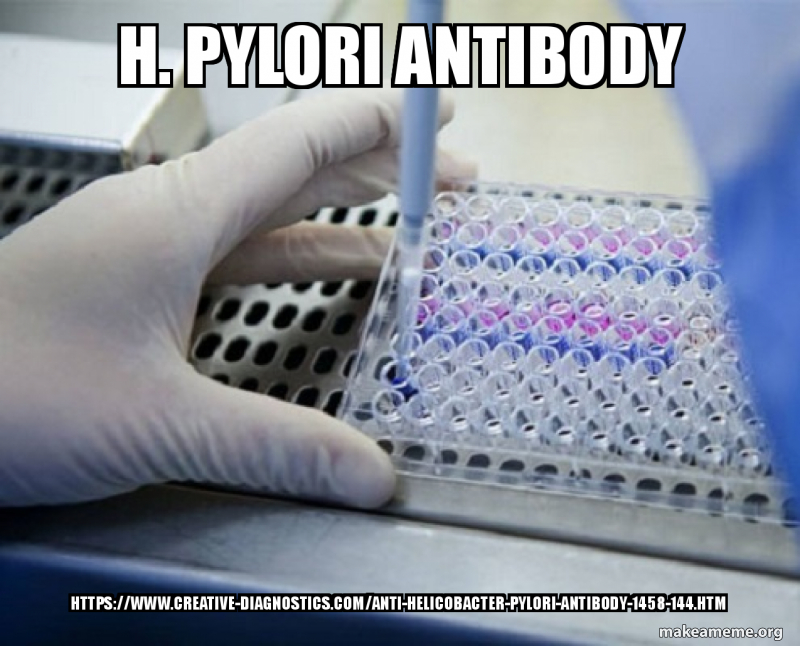 H. pylori Antibody https://www.creative-diagnostics.com/Anti ...