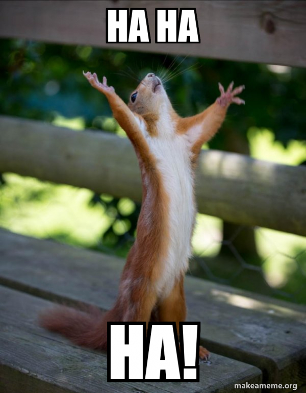 Ha Ha Ha! - Happy Squirrel Meme Generator