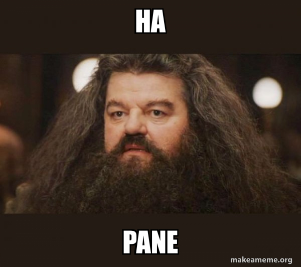 Ha Pane - Hagrid - I should not have said that Meme Generator