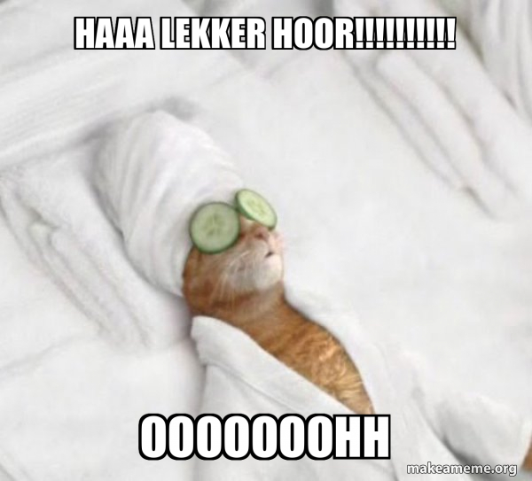 haaa lekker hoor!!!!!!!!!! ooooooohh - Pampered Cat Meme Meme Generator