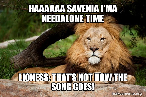 HAAAAAA SAVENIA I'MA NEEDALONE TIME Lioness: That's not how the song ...
