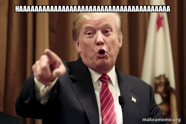 haaaaaaaaaaaaaaaaaaaaaaaaaaaaaaaaaaaaaaa - Donald Trump Says Meme Generator