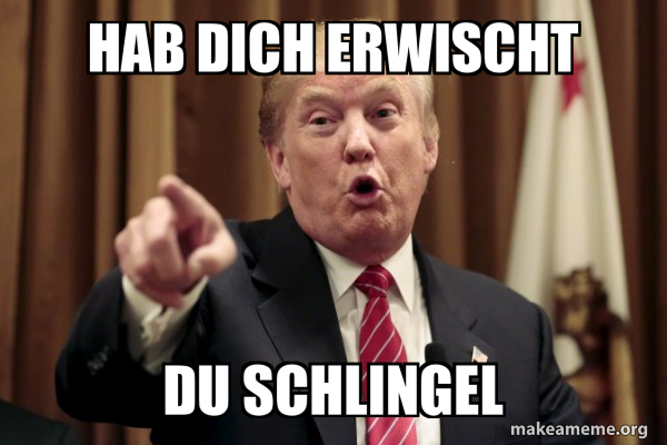 Hab dich erwischt du Schlingel - Donald Trump Says Meme Generator