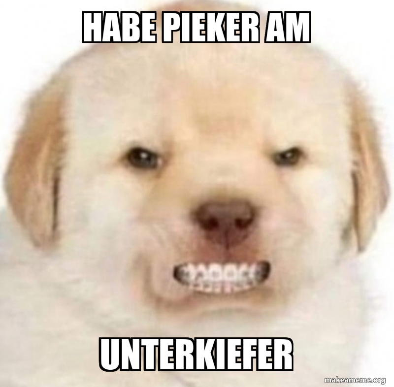 Habe pieker am Unterkiefer Meme Generator