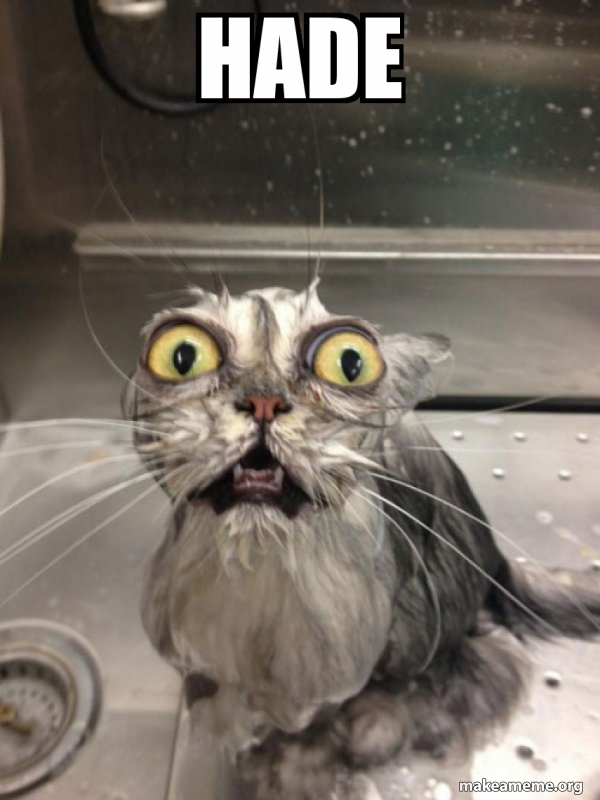 hade - Cat bath Meme Generator