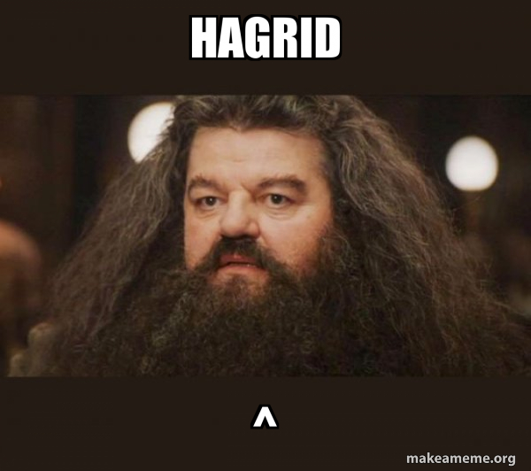 hagrid ^ - Hagrid - I should not have said that Meme Generator
