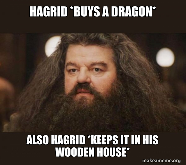 Hagrid *buys a dragon* Also Hagrid *keeps it in his wooden house ...