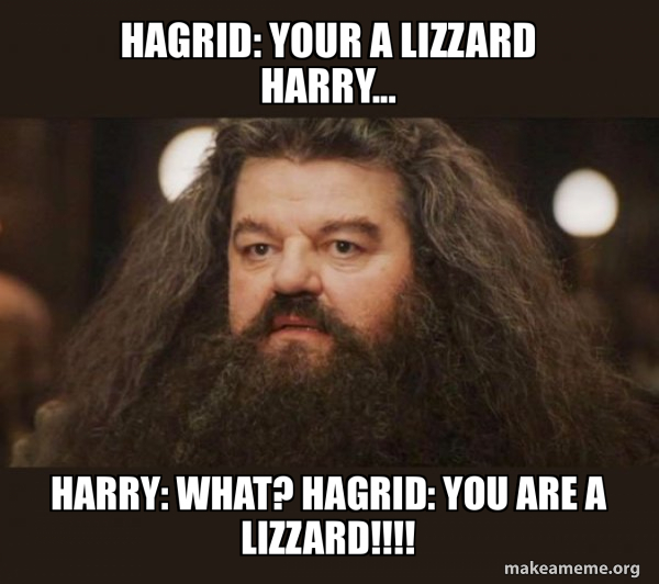 hagrid: your a lizzard harry... harry: what? hagrid: YOU ARE A LIZZARD ...