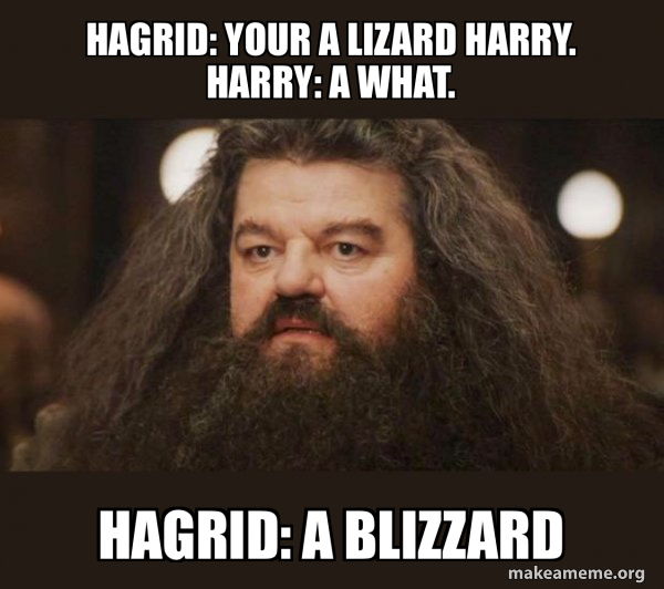 Hagrid: Your A Lizard Harry. Harry: A What. Hagrid: A Blizzard - Hagrid ...
