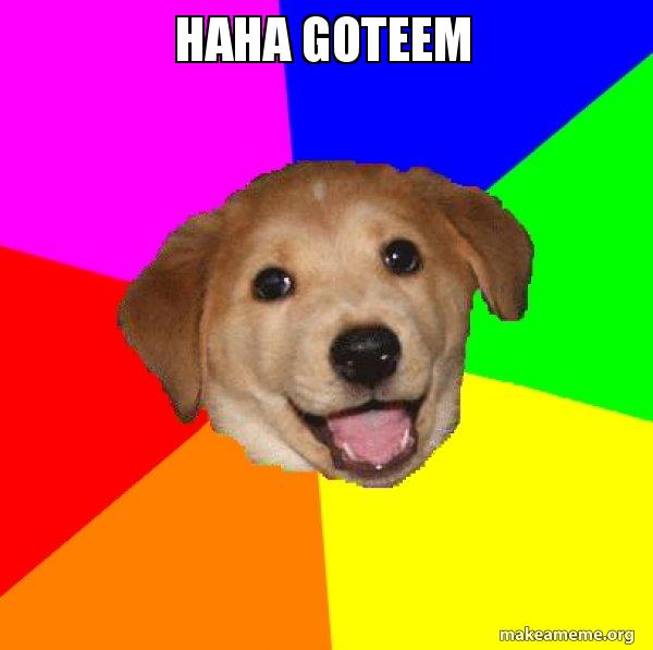 Haha Goteem - Advice Dog Meme Generator